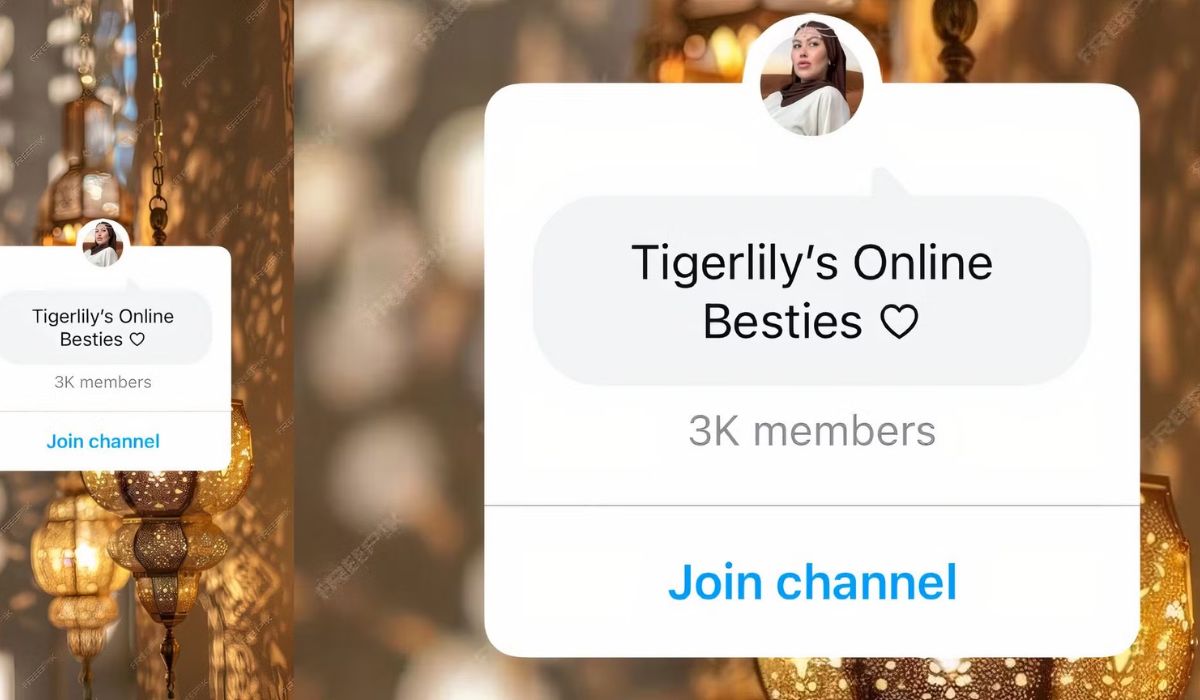 90 Day Fiance: Tigerlily Taylor Grows Her Influencer Business, Begins ...