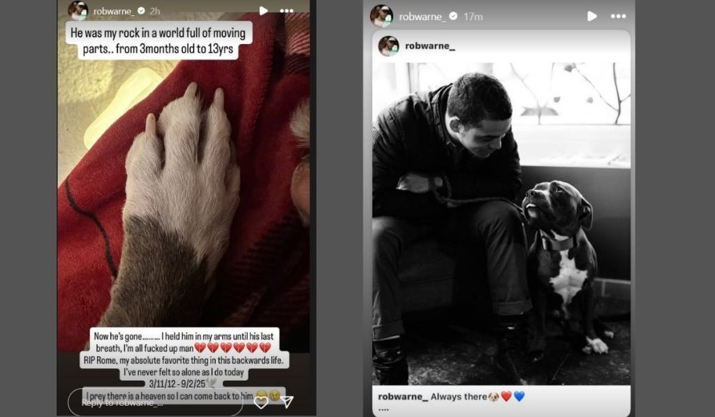 🕊️🕊️🕊️R.I.P 🙏”: “He’s Gone!!” — Rob Warne Loses Precious Family Member ...